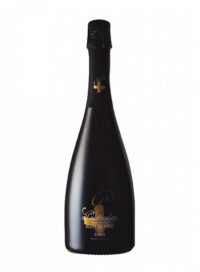 Cava Particular Garnacha Blanc de Noir – Bodegas San Valero